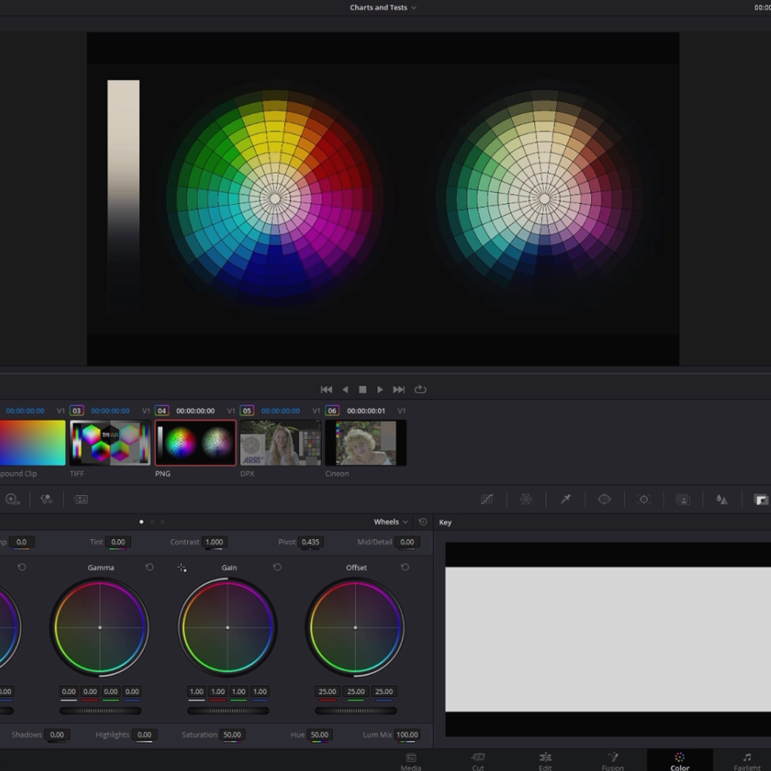 Ravengrade - Color Grading Masterclasses