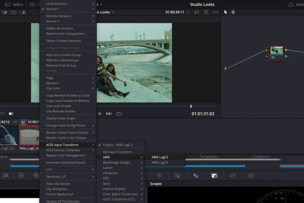 Guide to Ravengrades Studio Looks - Ravengrade